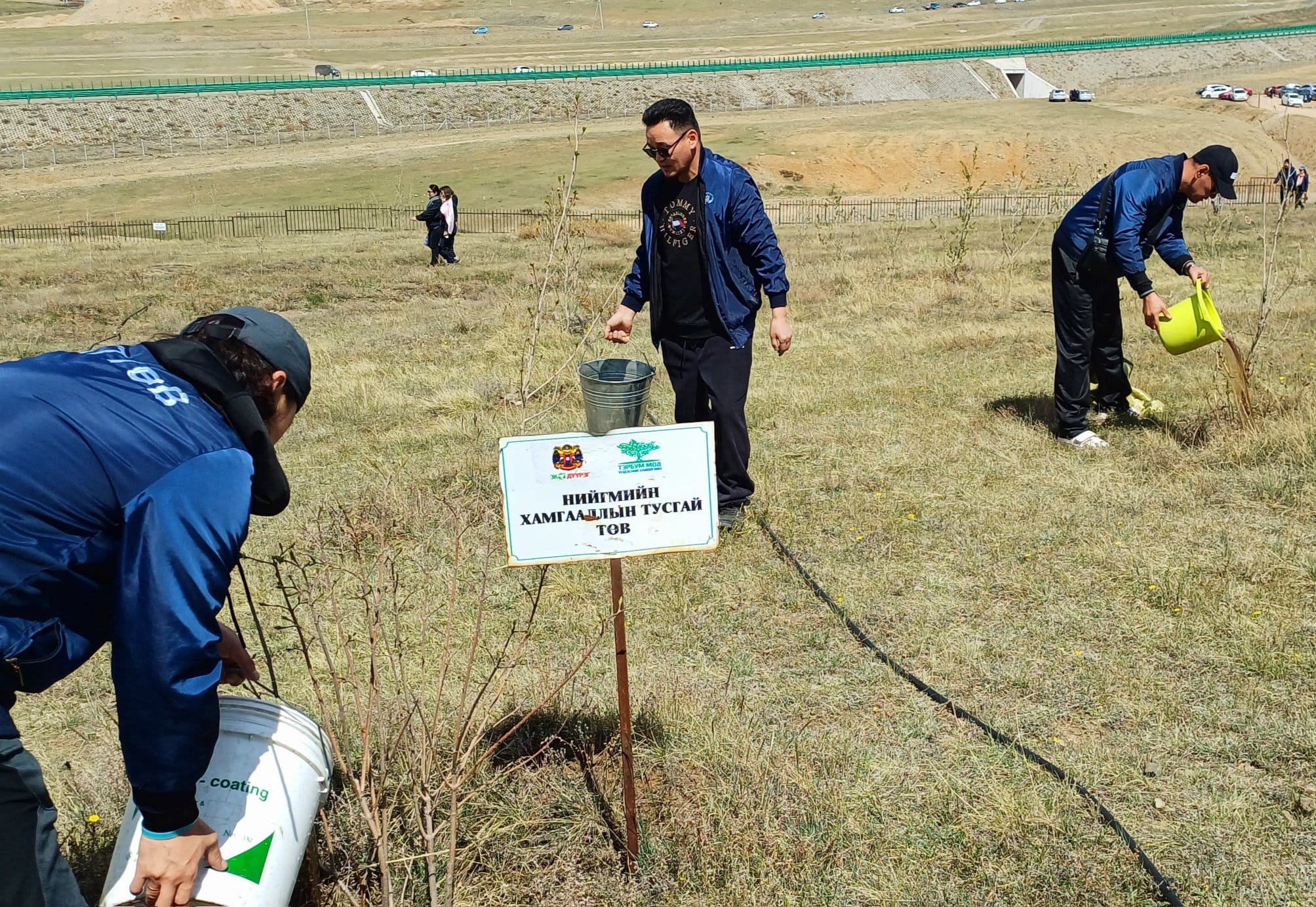 🇲🇳🌳Монгол Улсын Ерөнхийлөгчийн “Тэрбум мод” санаачлагын хүрээнд ...